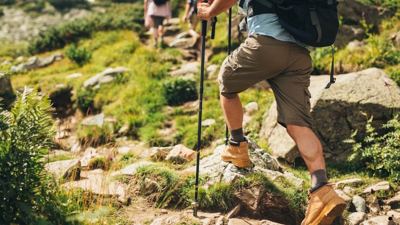 How to Choose the Perfect Hiking Trails For Your Skill Levels?