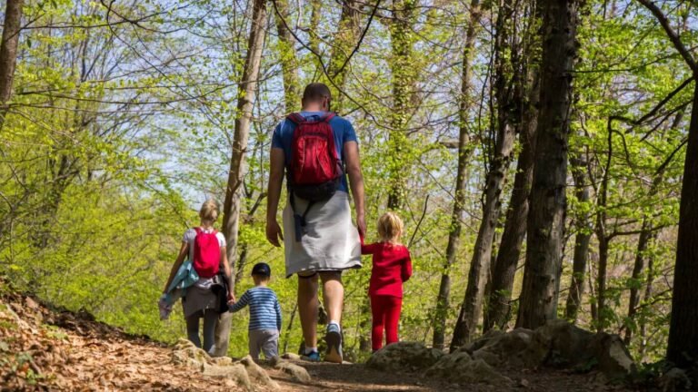 The Best Hiking Trails for Absolute Beginners